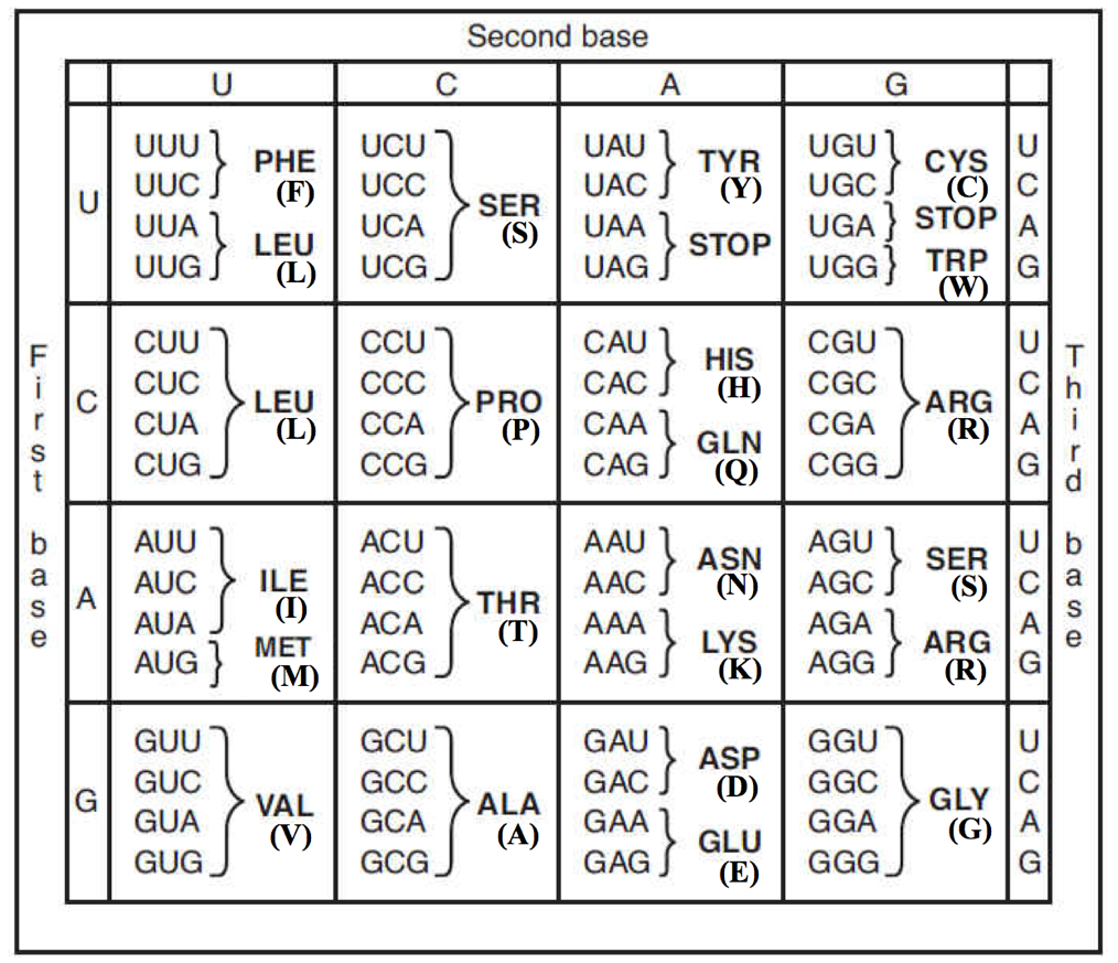 Solved For the following coding DNA sequence:DNA: 5’- | Chegg.com