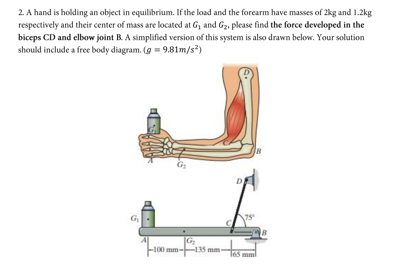 Solved 2. A hand is holding an object in equilibrium. If the | Chegg.com