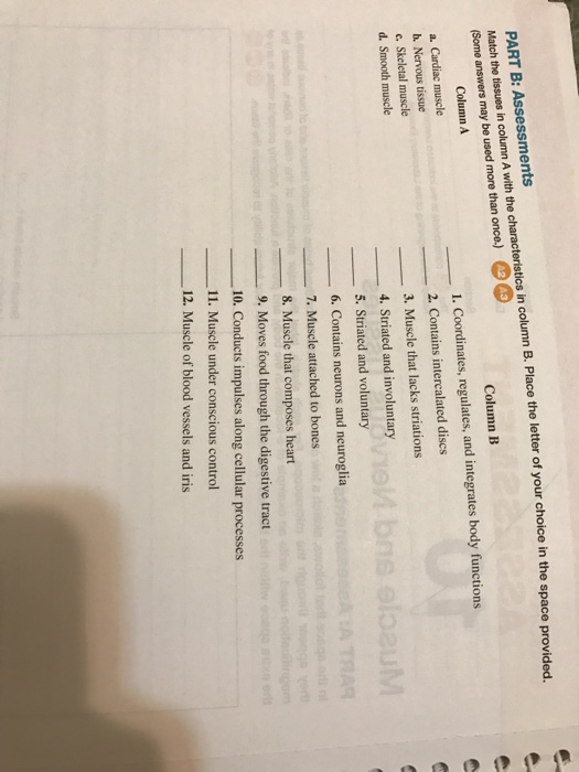 Solved Match the tissues in Column A with the | Chegg.com