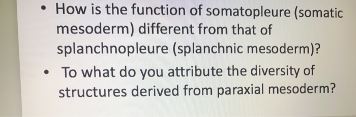 Solved How is the function of somatopleure (somatic | Chegg.com
