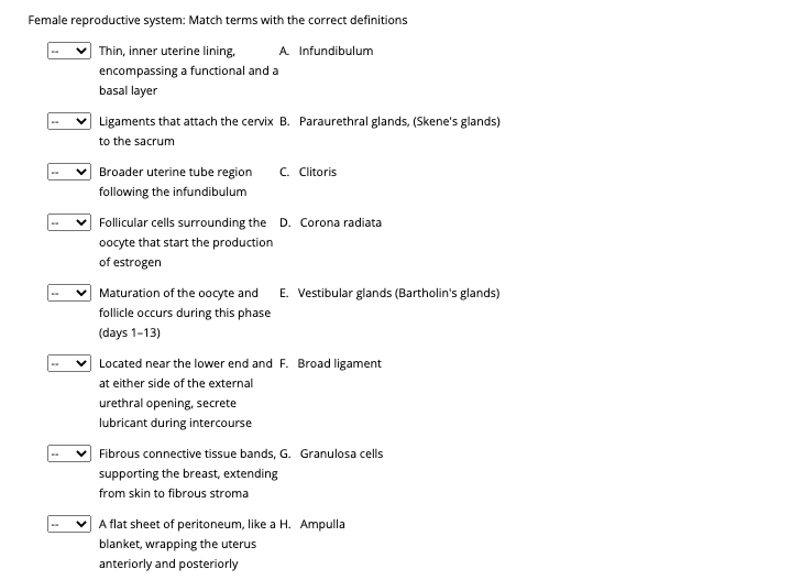 Solved Female reproductive system: Match terms with the | Chegg.com