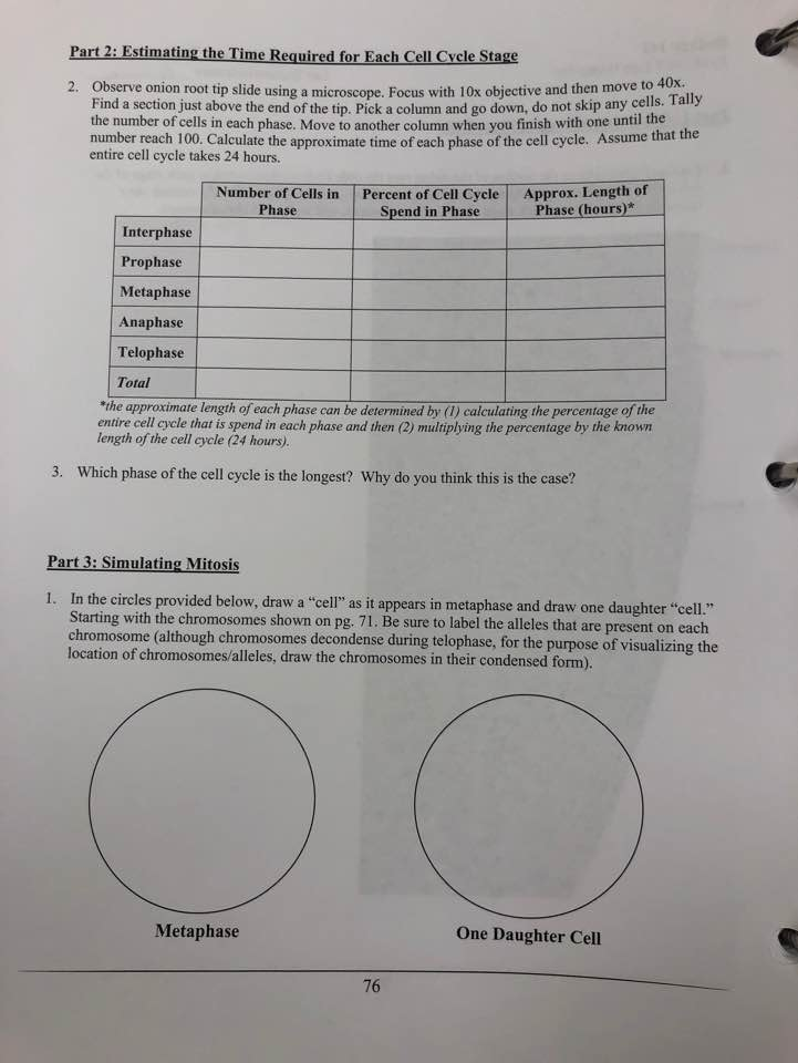 Solved Part 1 Observing Mitosis In Plant Cell Find And Chegg Solved Part 1 Observing Mitosis In Plant Cell Find And Chegg