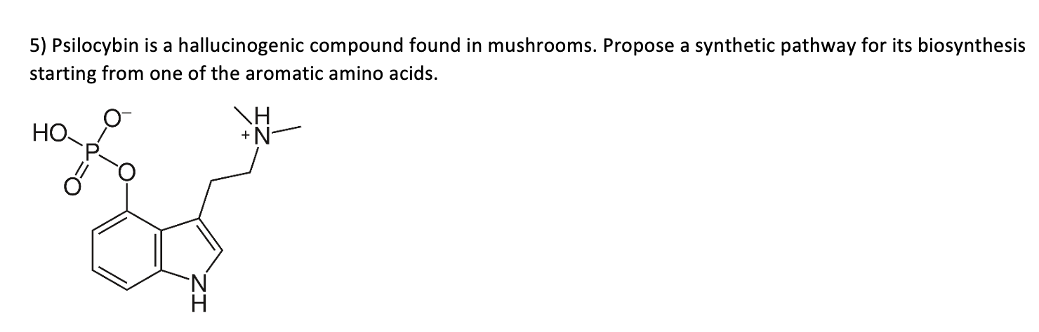 Solved 5) Psilocybin is a hallucinogenic compound found in | Chegg.com