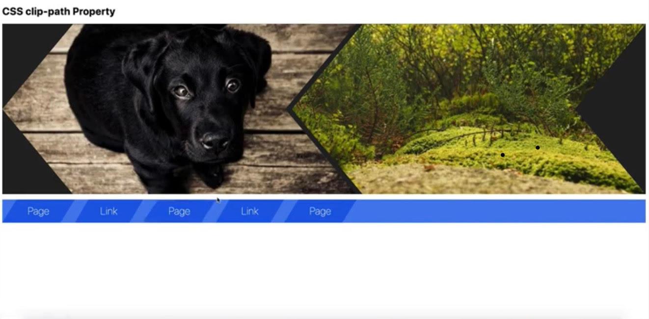 assignment 5- by using HTML and CSS so Today you | Chegg.com