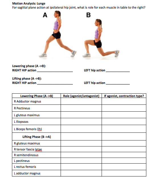 Solved Motion Analysis: Lunge For sagittal plane action at | Chegg.com
