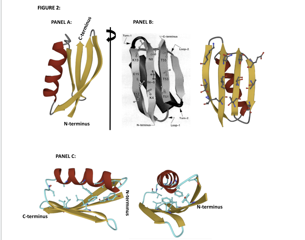 FIGURE 2: PANEL B: Panel B in Figure 2 shows the | Chegg.com