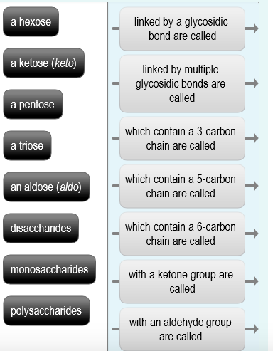 Solved a hexose linked by a glycosidic bond are called a | Chegg.com