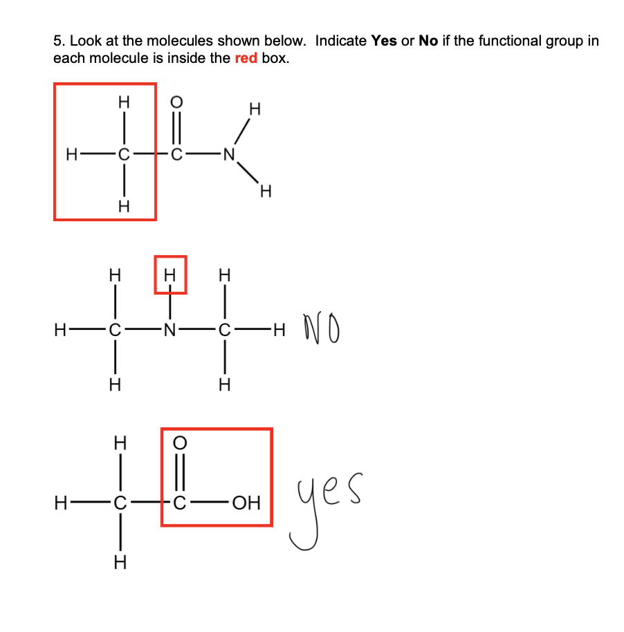 Solved 5. Look at the molecules shown below. Indicate Yes or | Chegg.com