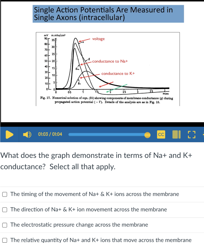 Solved Single Action Potentials Are Measured in Single Axons | Chegg.com