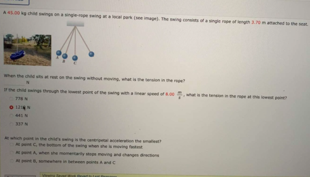 Solved A 45.00 kg chilld swings on a single-rope swing at a | Chegg.com