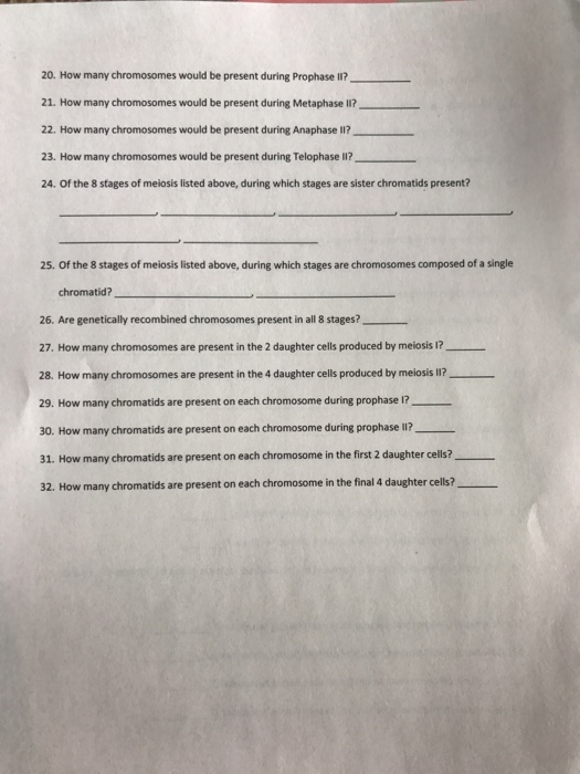 Solved In a buffalo 2n 60 1. How many chromosomes are | Chegg.com Solved In a buffalo 2n 60 1. How many chromosomes are | Chegg.com