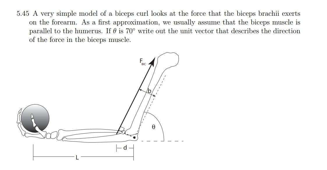 Solved 5.45 A very simple model of a biceps curl looks at | Chegg.com