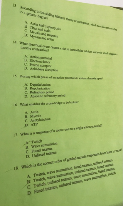 Solved /which connective tissue layer is the innermost layer | Chegg.com