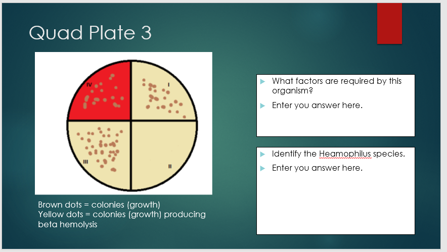 Solved Quad Plate 3 What factors are required by this | Chegg.com