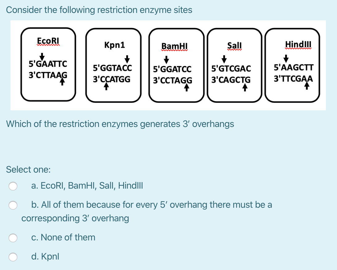 Solved Consider the following restriction enzyme sites ECORI | Chegg.com