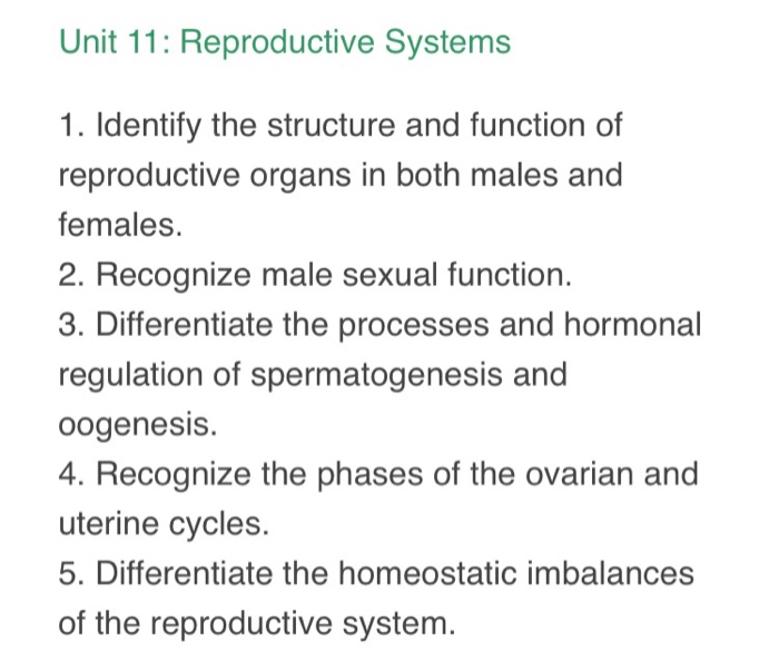Reproductive System Both