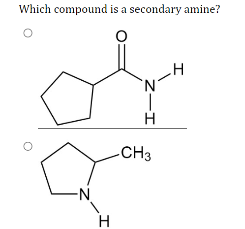 Which compound is a secondary amine?\r\n | Chegg.com