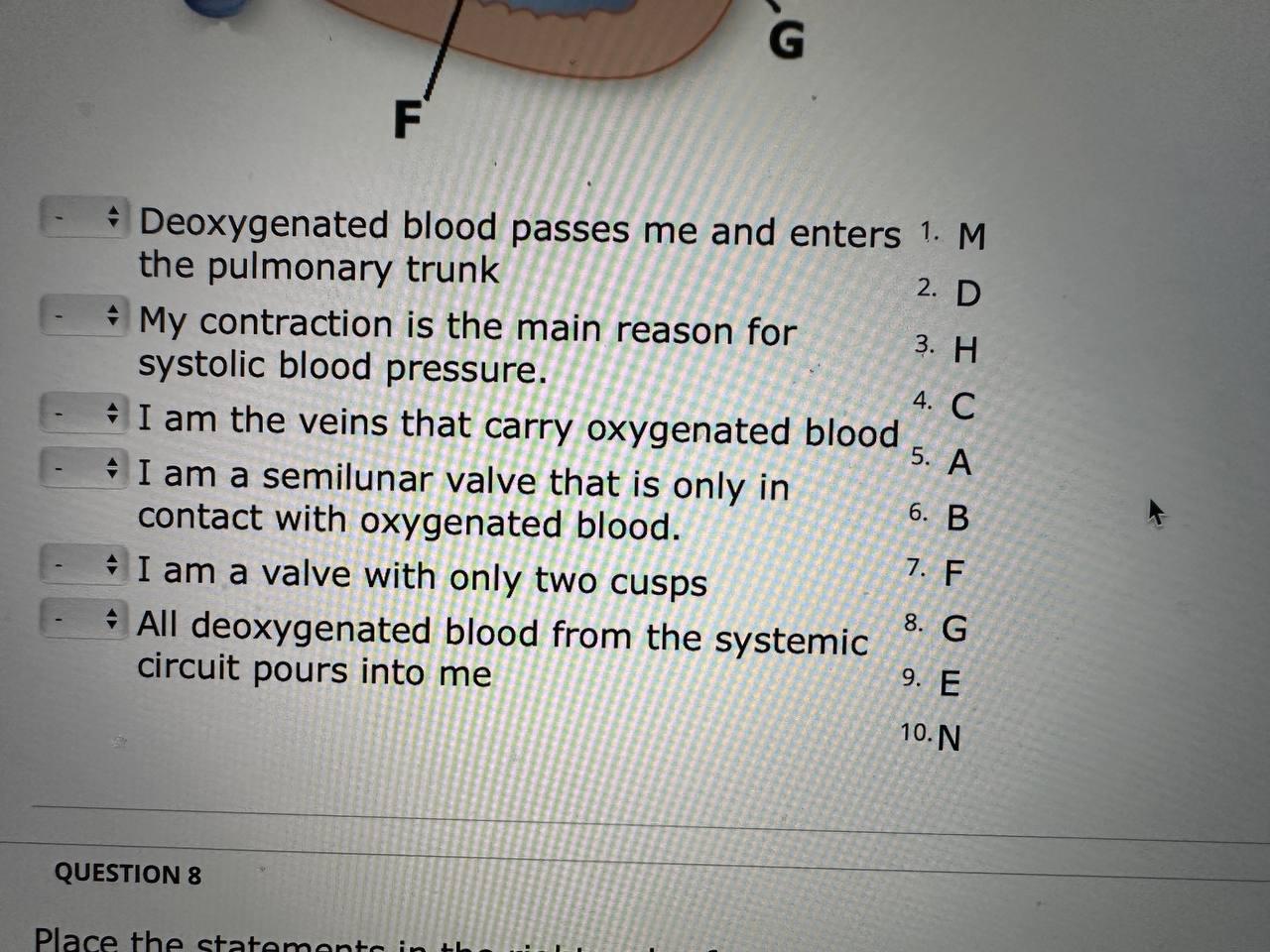 Solved Deoxygenated blood passes me and enters 1 . M the | Chegg.com