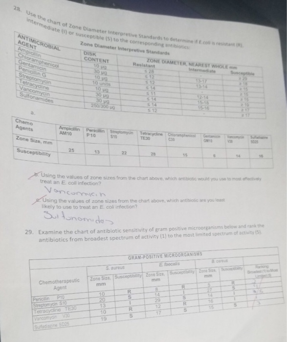 Antibiotic Spectrum Of Activity Chart