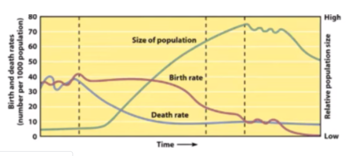 Label each stage of the demographic transition below | Chegg.com