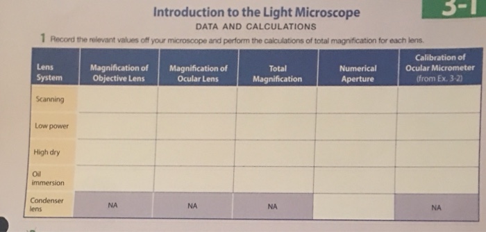 Solved 3-1 Introduction to the Light Microscope DATA AND | Chegg.com