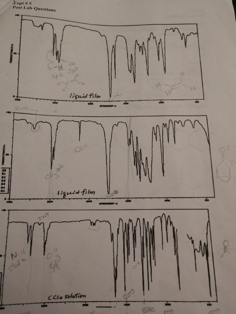 Solved Expt # 5 Post Lab Questions S- sps sp2 liquid film | Chegg.com