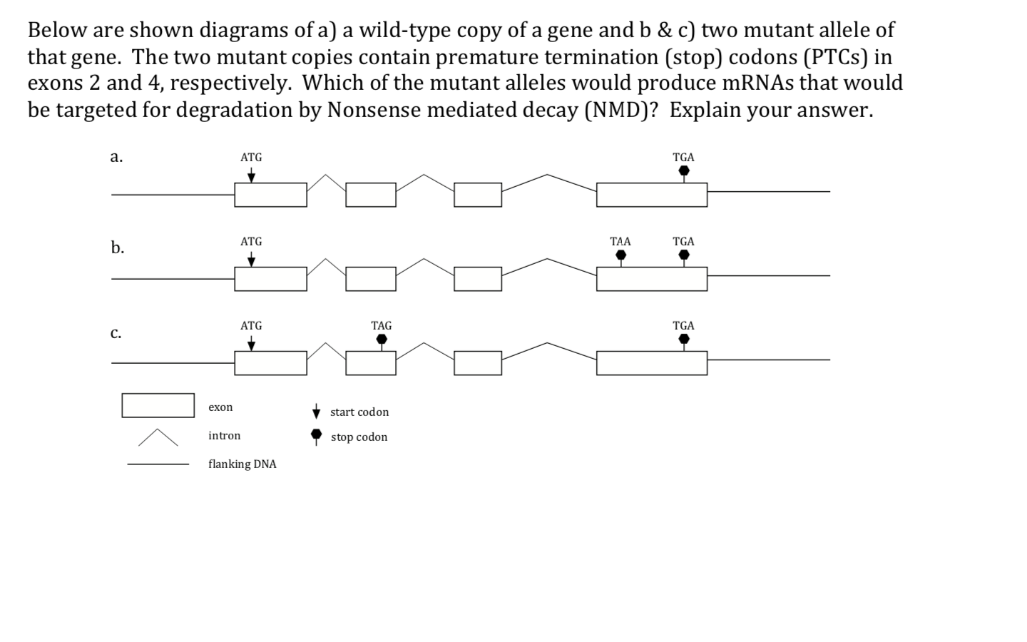 Solved Influenza virus is a “cap-snatching” virus. That | Chegg.com