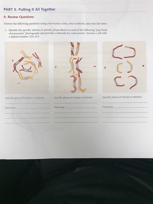Solved PART II. Putting It All Together A. Review Questions | Chegg.com