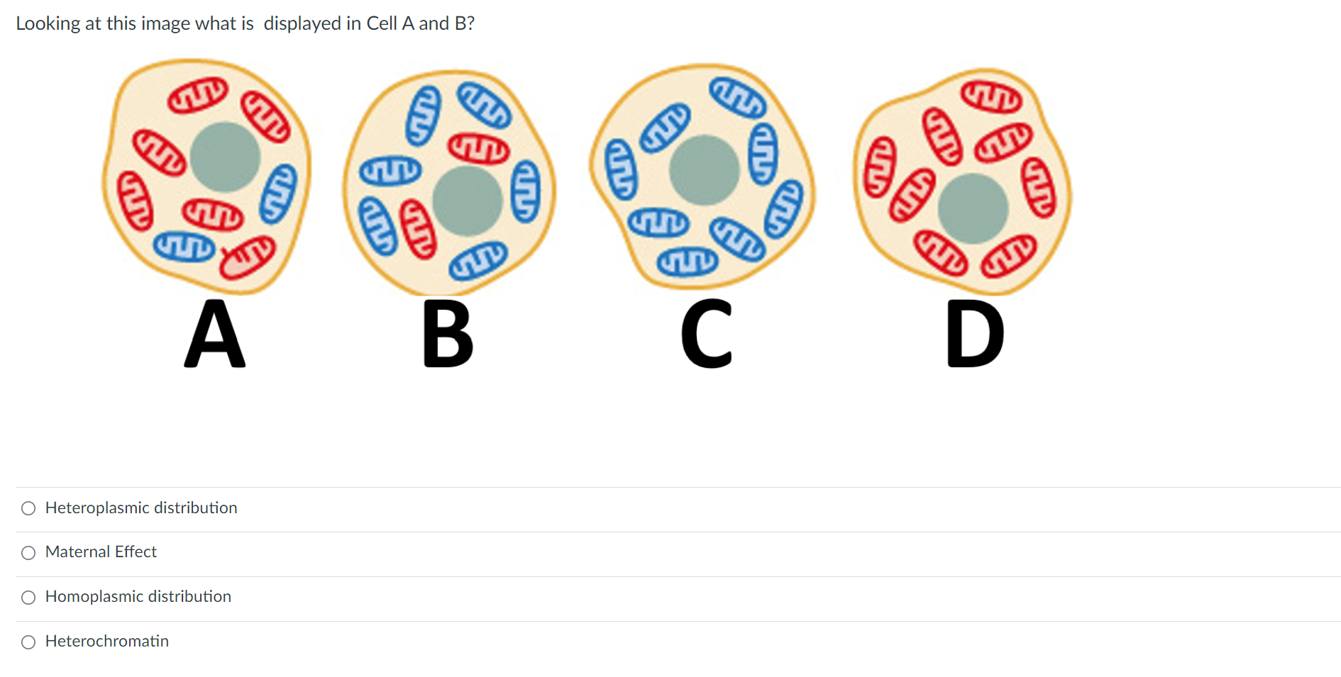 Solved Looking at this image what is displayed in Cell A and | Chegg.com
