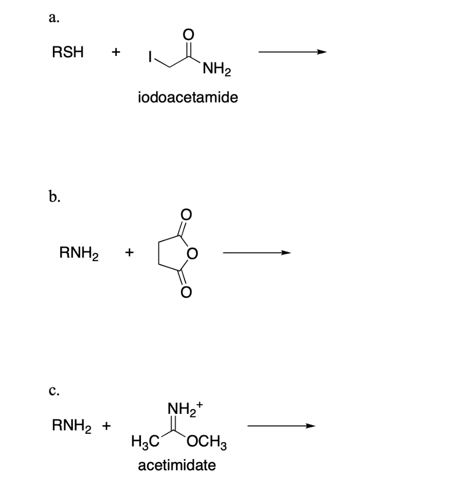 Solved a. RSH + NH2 iodoacetamide b. RNH2 + c. + + RNH2 NH2 | Chegg.com