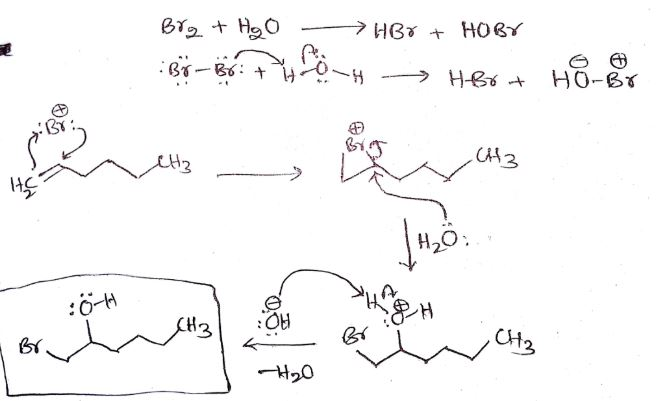 Solved When 1-Hexene is treated with Br2 in water, | Chegg.com