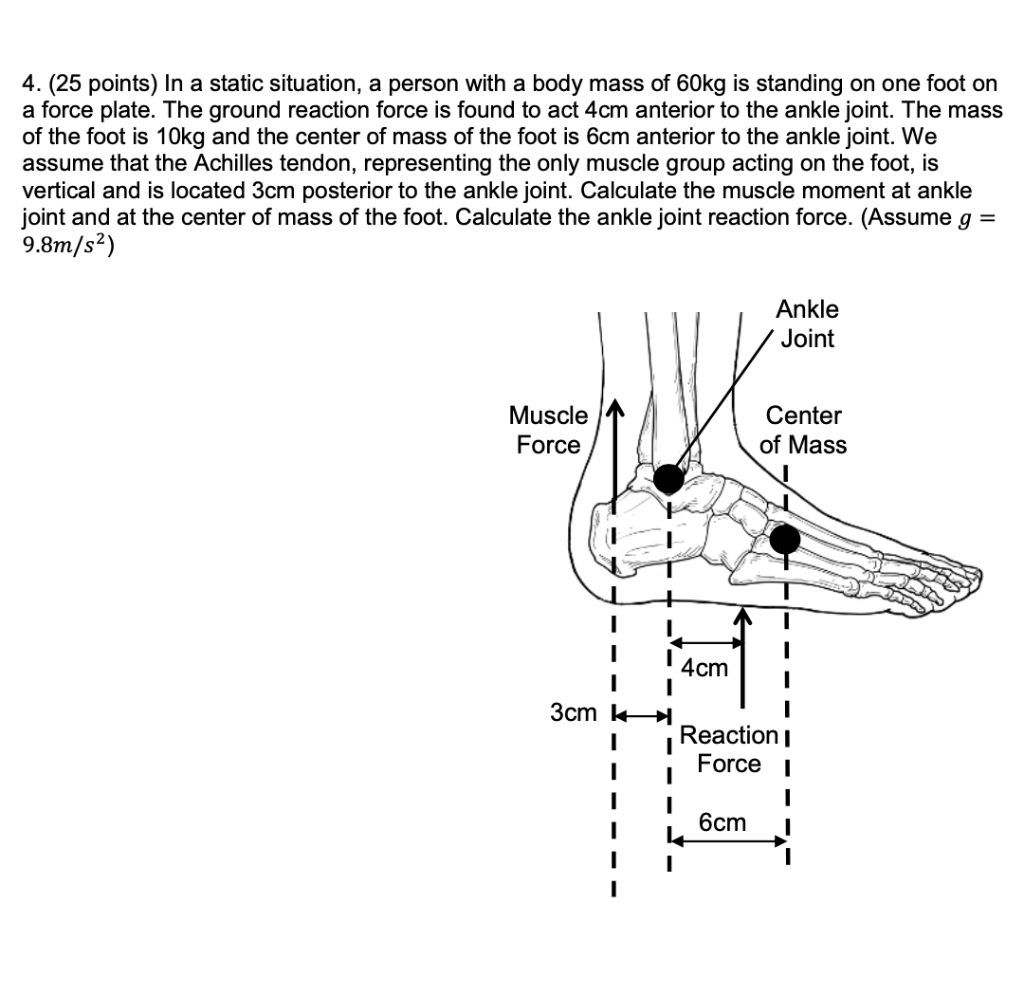 Solved 4. (25 points) In a static situation, a person with a | Chegg.com