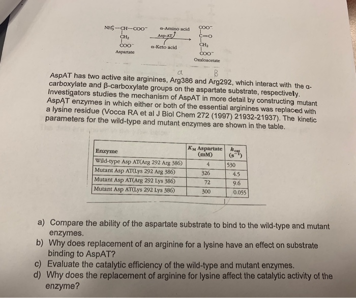 Solved 3) Aspartate amino transferase (AspAT) catalyzes the | Chegg.com