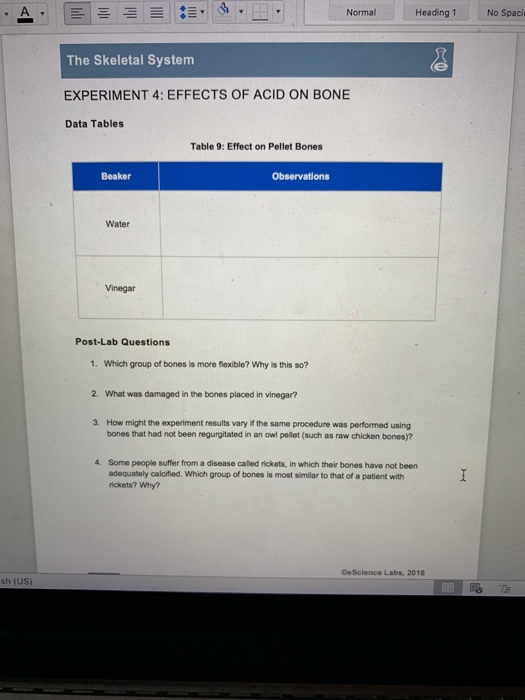 Solved A No Spaci Normal Heading 1 The Skeletal System | Chegg.com