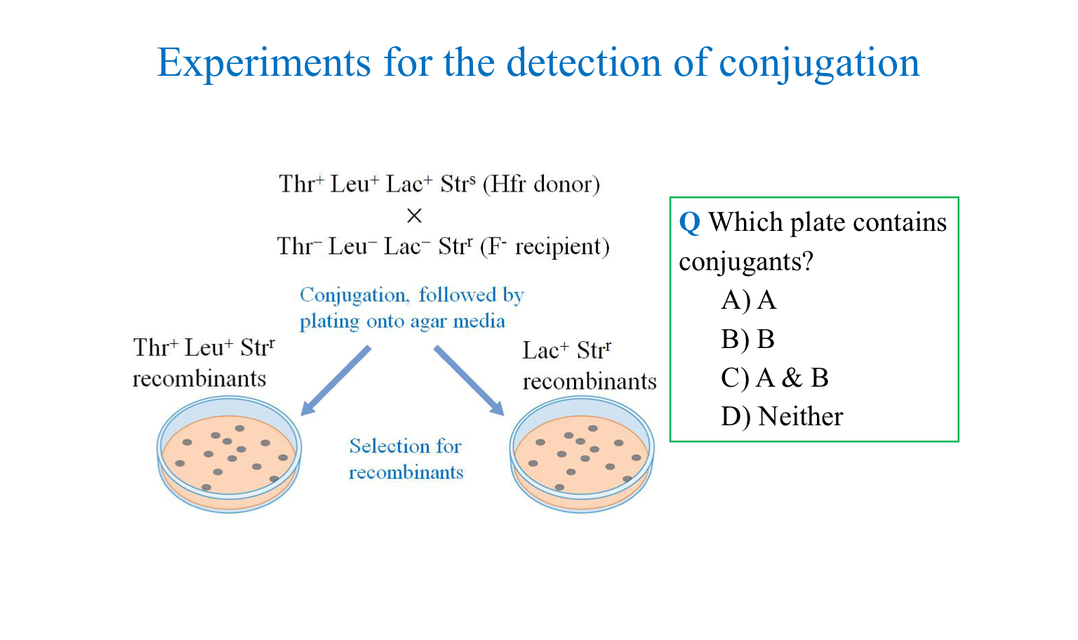 Solved Experiments for the detection of conjugation Q Which | Chegg.com