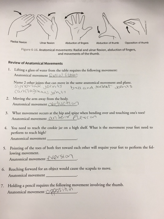 When you bring any of your fingers in contact with your thumb- this ...