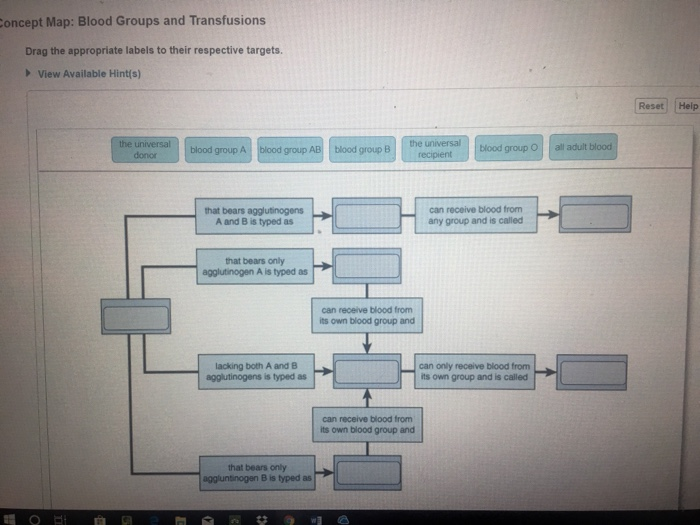 Solved oncept Map: Blood Groups and Transfusions Drag the | Chegg.com