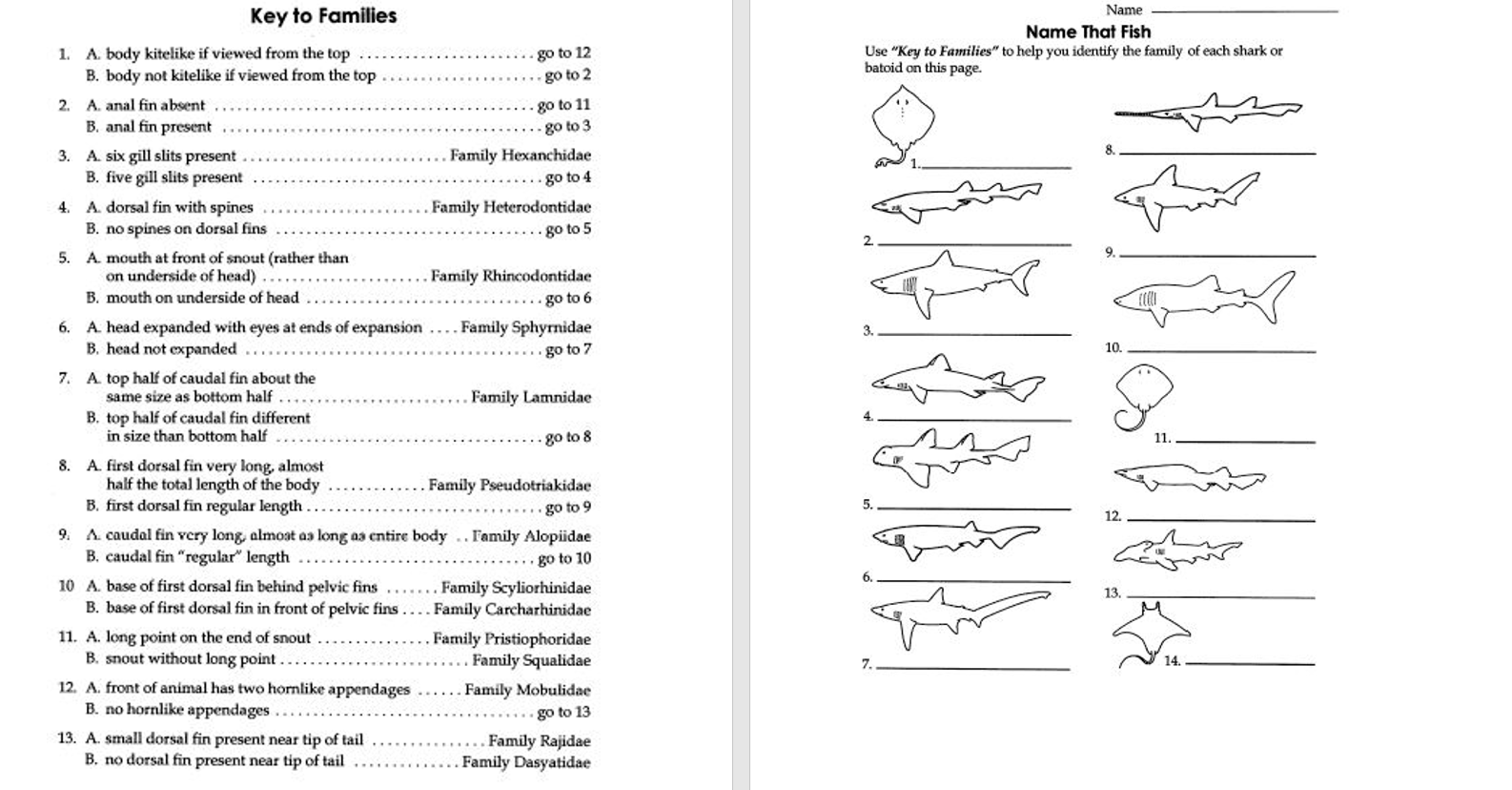 Solved Give the family name of all 14 sharks. Use the family | Chegg.com
