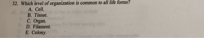 Solved 32. Which level of organization is common to all life | Chegg.com