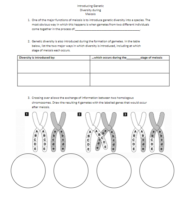 Solved Meiosis with Nondisjunction in Meiosis II 1. Follow | Chegg.com