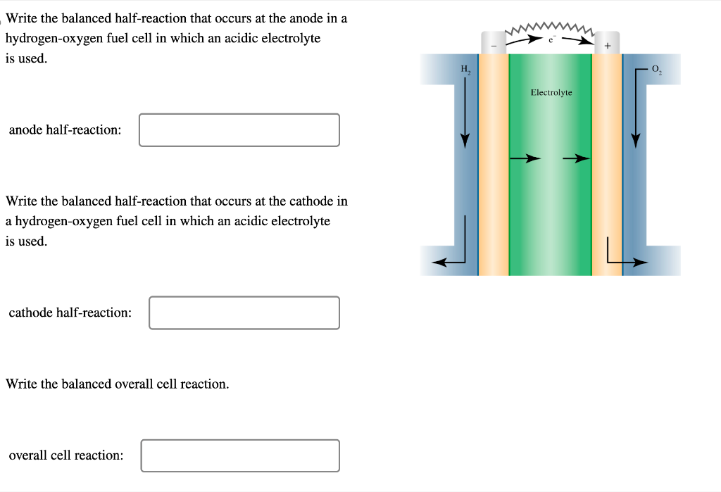 Solved Write the balanced half-reaction that occurs at the | Chegg.com