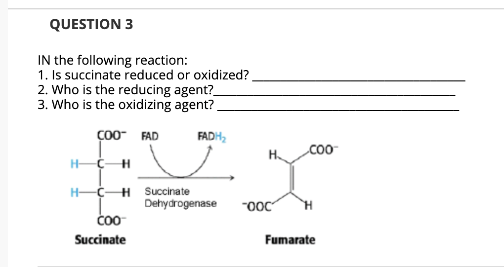 Solved QUESTION 3 IN the following reaction: 1. Is succinate | Chegg.com