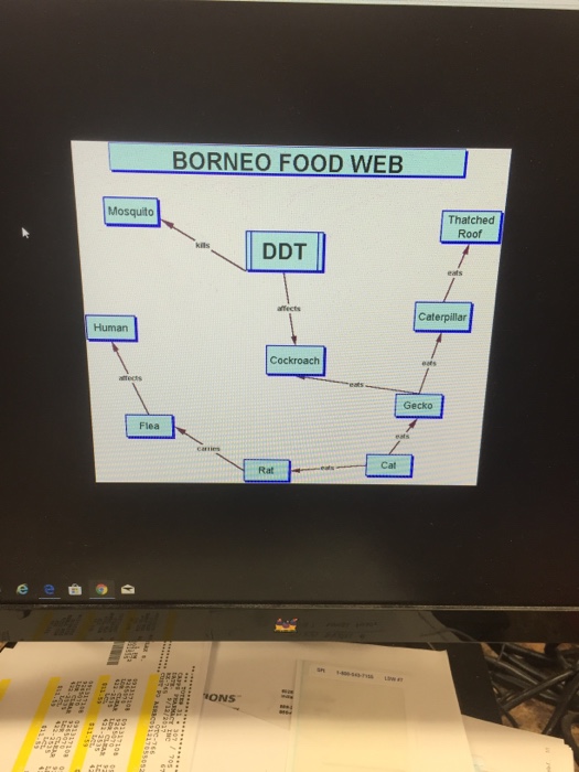BORNEO FOOD WEB Mosquito Thatched Roof DDT affects | Chegg.com