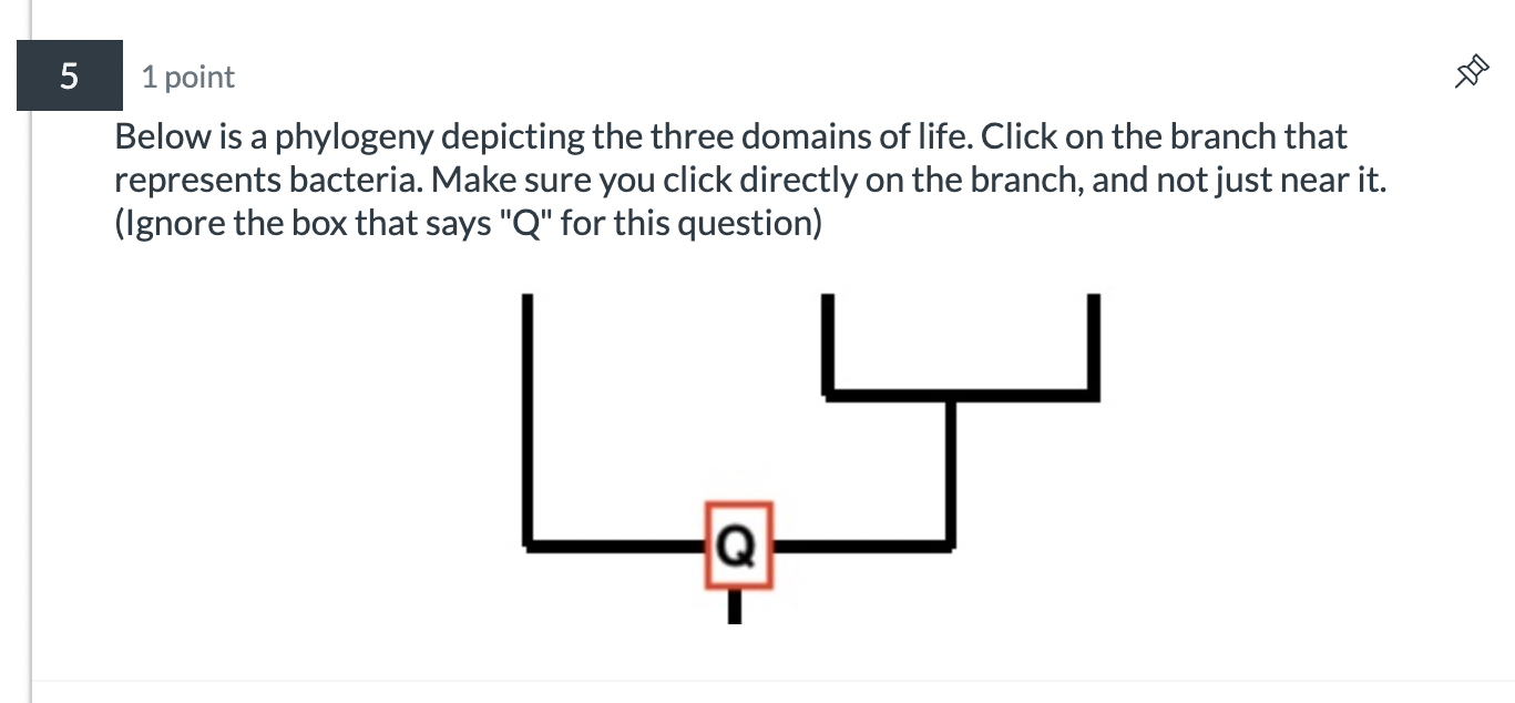 Solved 51 ﻿pointBelow is a phylogeny depicting the three | Chegg.com