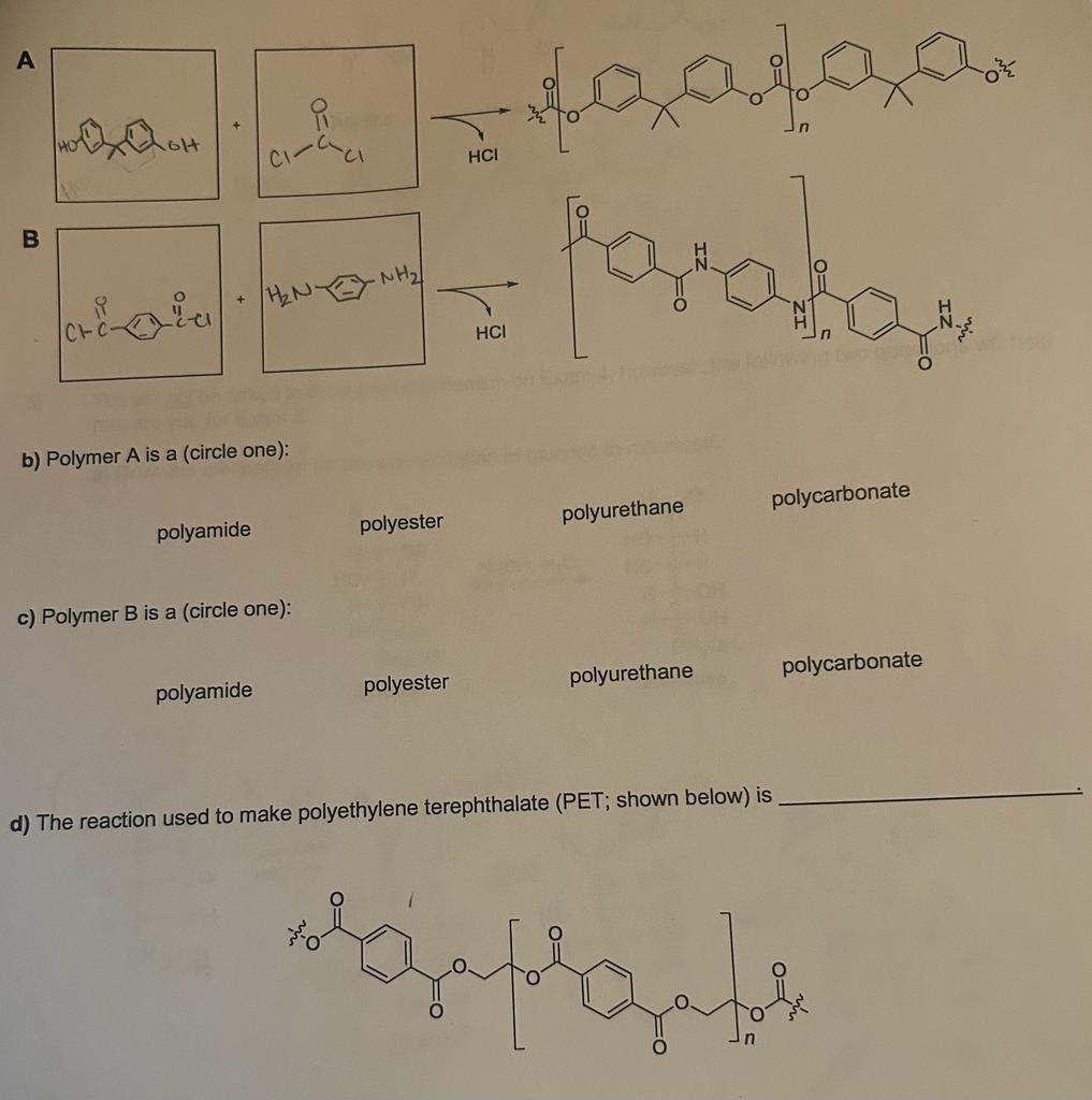 Solved Can someone help me identify the polymers from the | Chegg.com