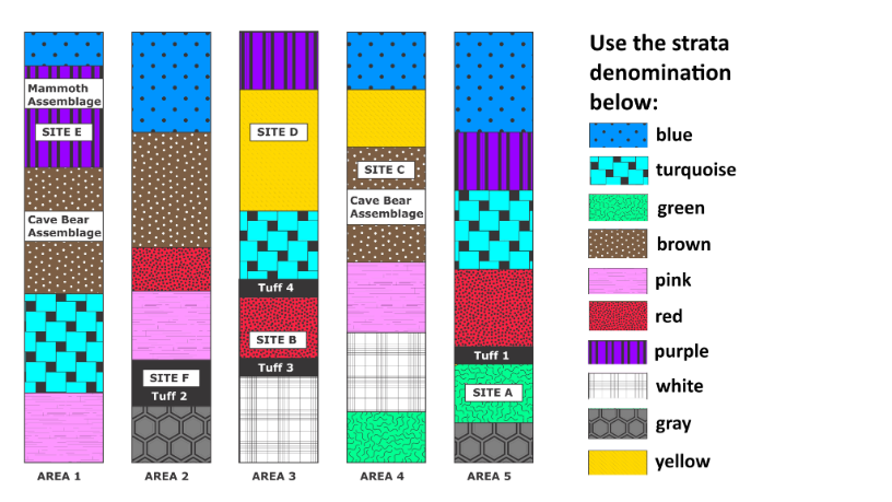 Solved The figure shows equivalent stratigraphic layers, or | Chegg.com