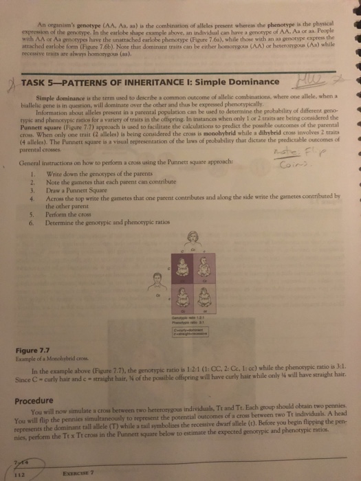 Solved An organism's genotype (AA, Aa, aa) is the | Chegg.com