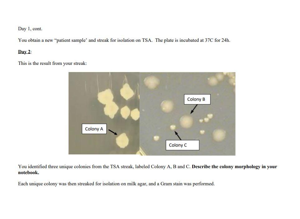 Solved Koch's Postulates Day 1: Evaluate the three clinical | Chegg.com