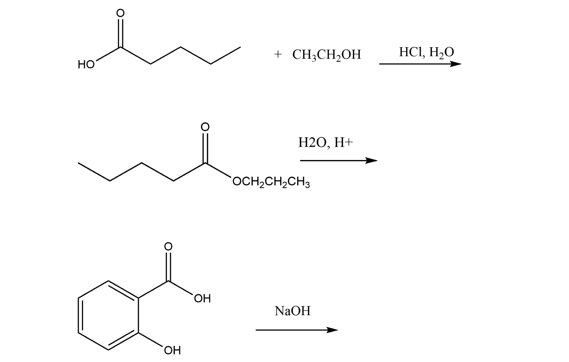 Solved Show me the steps to solve +CH3CH2OH→HCl,H2O→NaOHC | Chegg.com