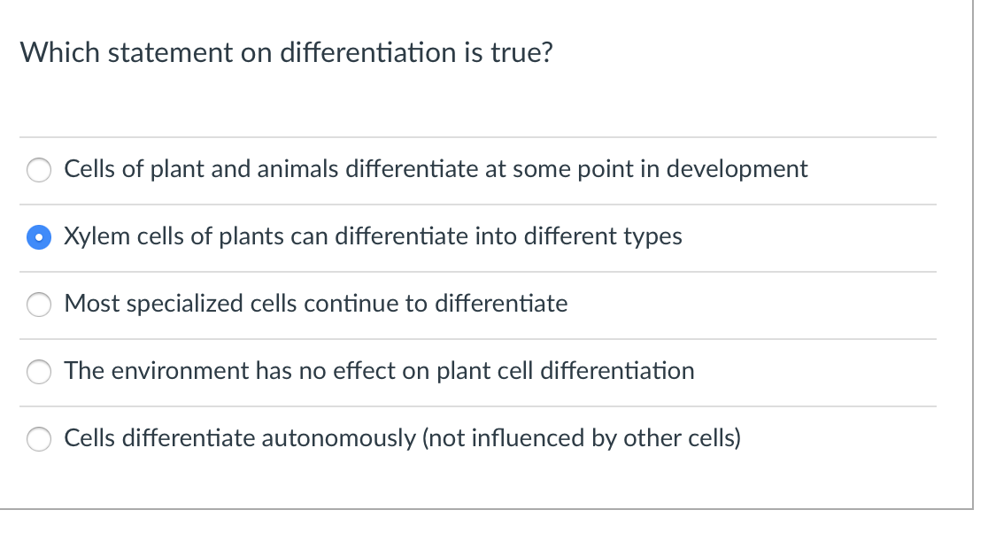 Plant Cell Differentiation